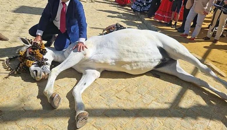 Cómo explicarles que el caballo está muerto - Semanario de Junín